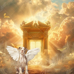 Heaven Gate Digital Backdrop, Pet Memorial Digital Background, Way to ...