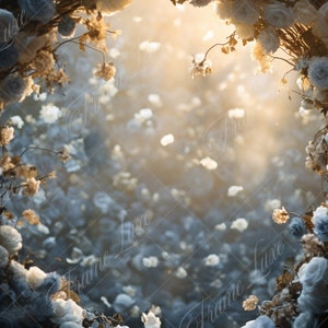 Blue Rose Arch Digital Background, Fine Art Portrait Photography ...
