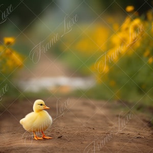 Spring Countryside Road and Duckling Digital Background,fine Art ...