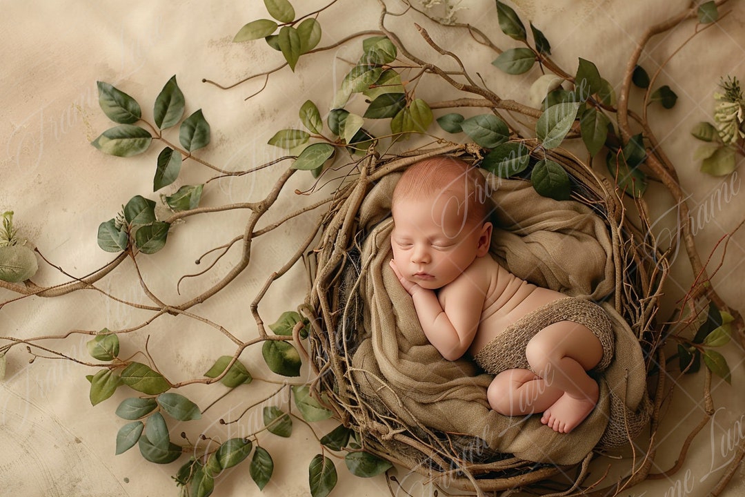 Newborn Digital Background, Tree Branch Basket, Baby Boy Girl, Fine Art ...