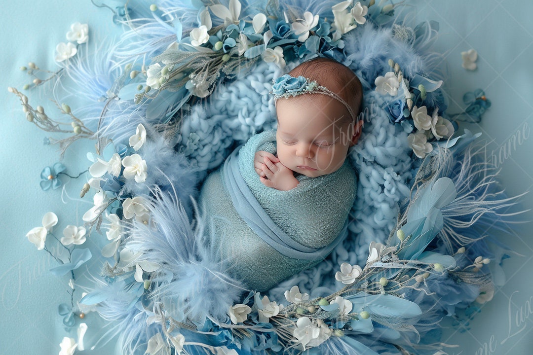 Newborn Digital Background, Baby Girl Blue Flower and Feather,fine Art ...