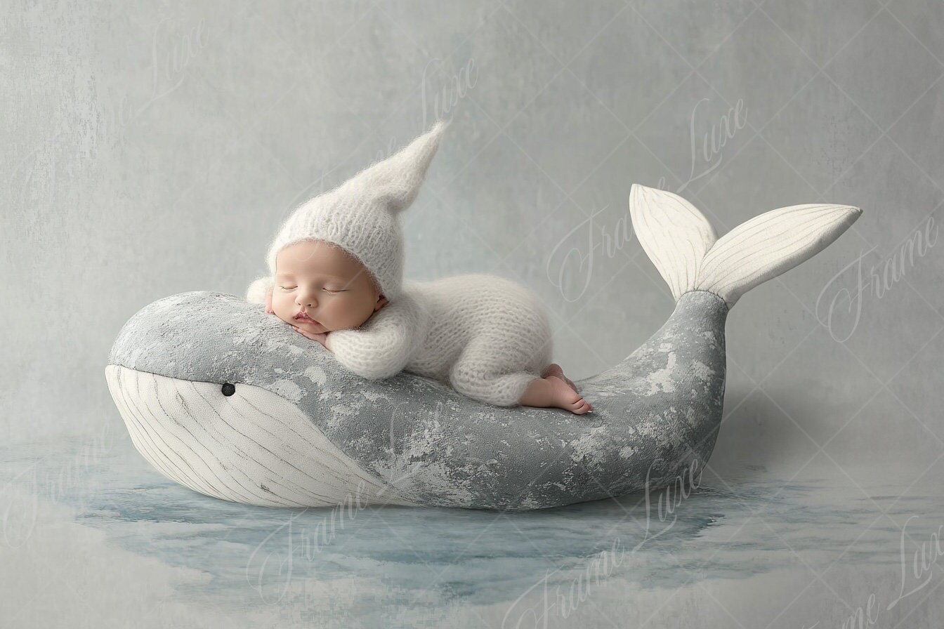 Newborn Digital Background, Grey Whale, Baby Boy, Studio Minimalist ...