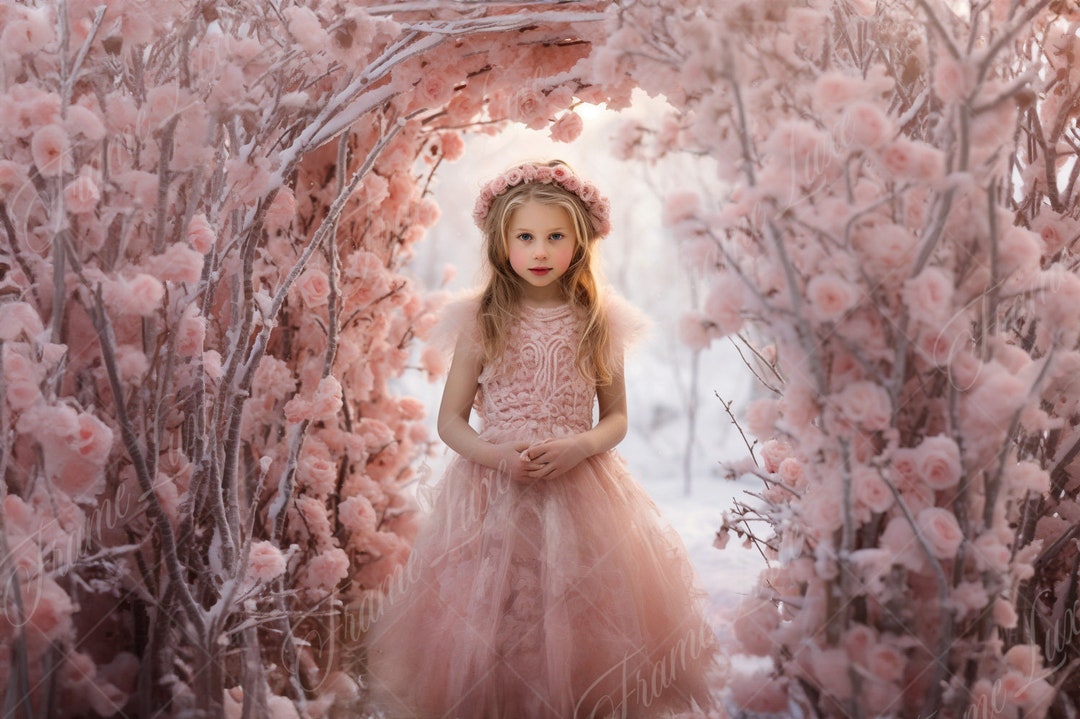 Winter Pink Rose Arch Digital Background, Fine Art Portrait Photography ...