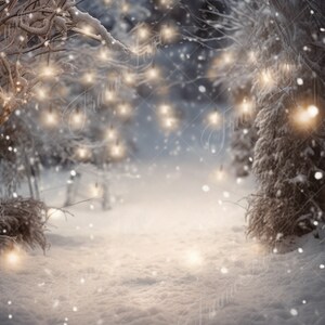 Winter Pathway Digital Background, Enchanted Snow Trail, Fine Art ...