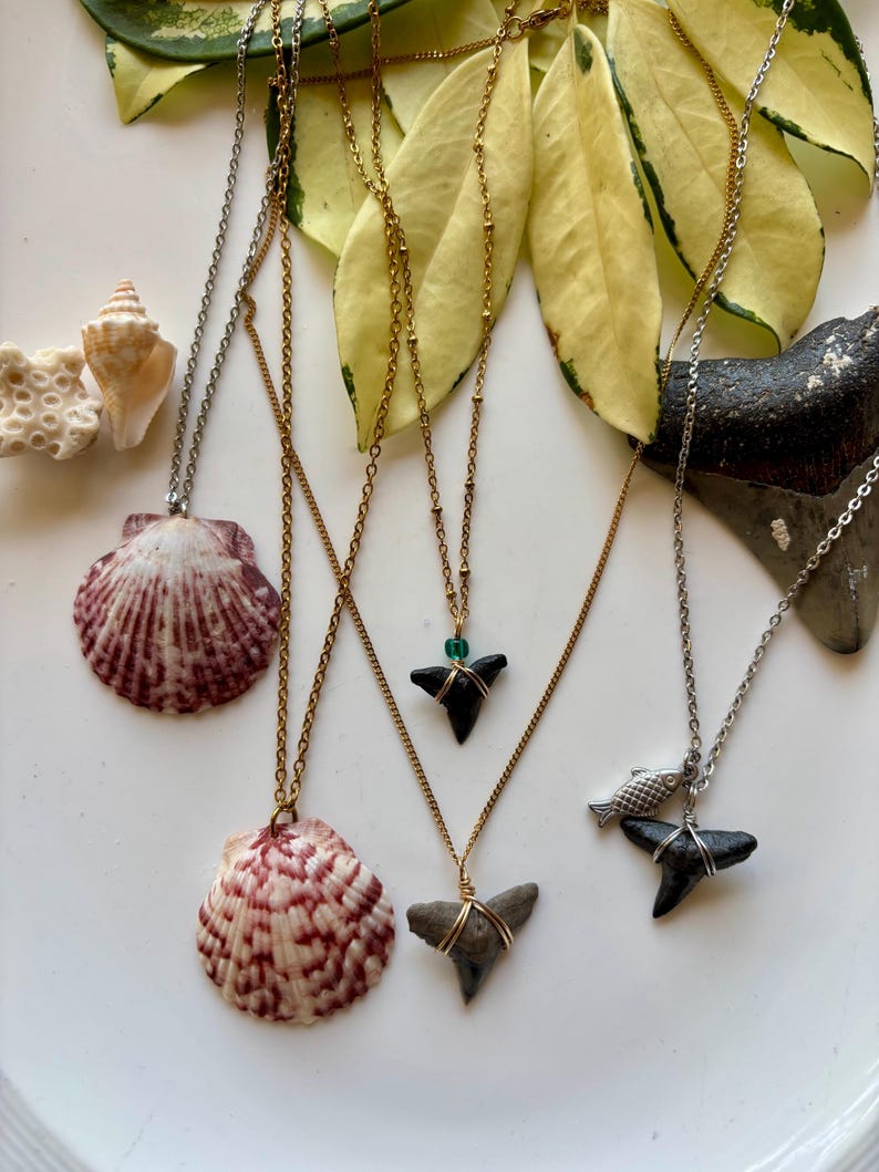 Shark Tooth and Shell Necklaces - Heart in the Wild Jewelry - Etsy