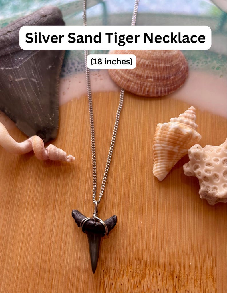 Shark Tooth and Shell Necklaces - Heart in the Wild Jewelry - Etsy