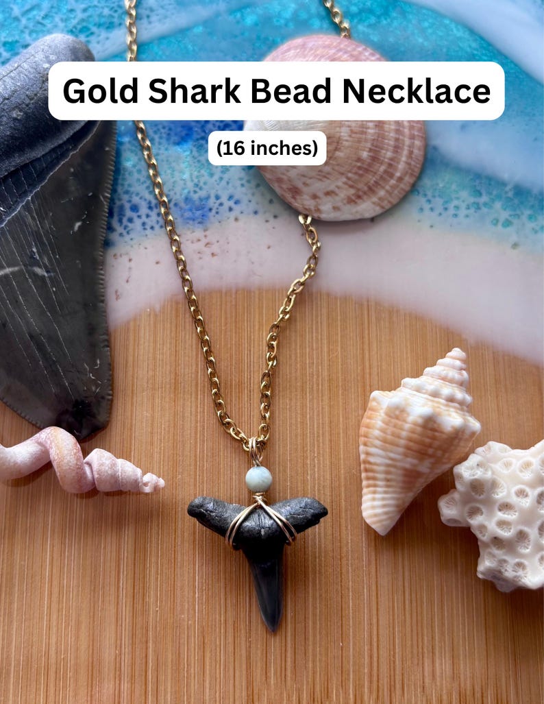 Shark Tooth and Shell Necklaces - Heart in the Wild Jewelry - Etsy