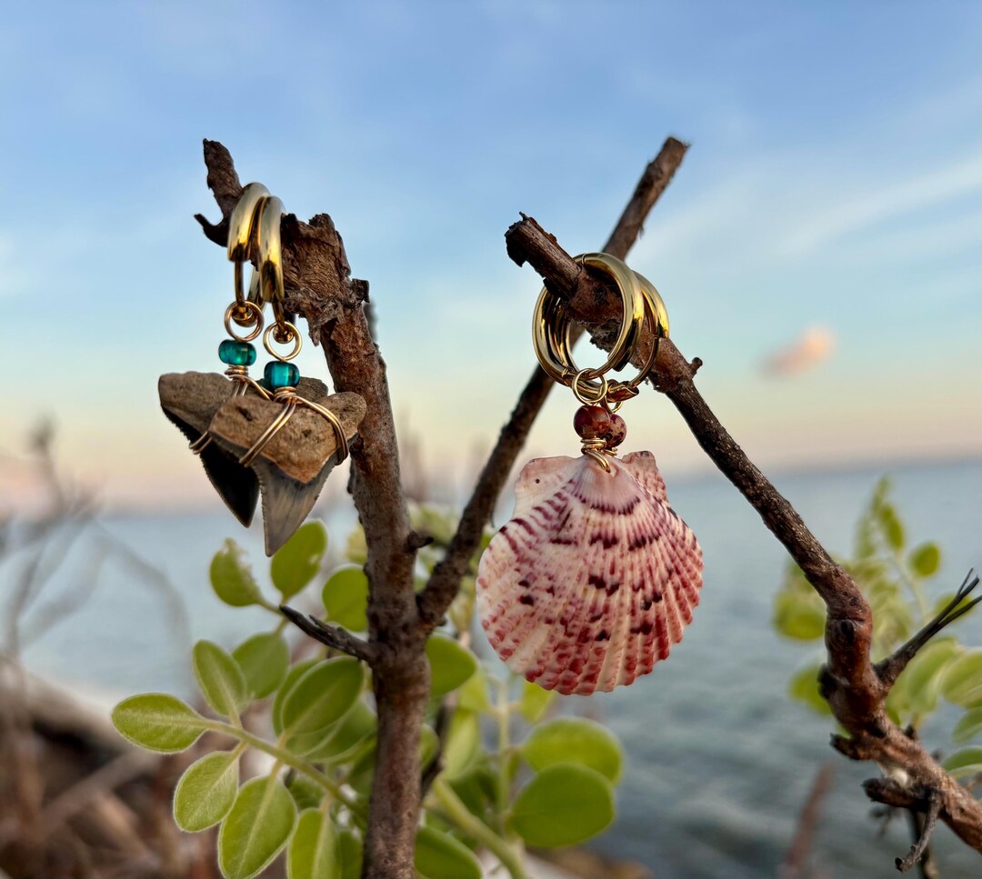 Shark Tooth and Shell Earrings - Etsy