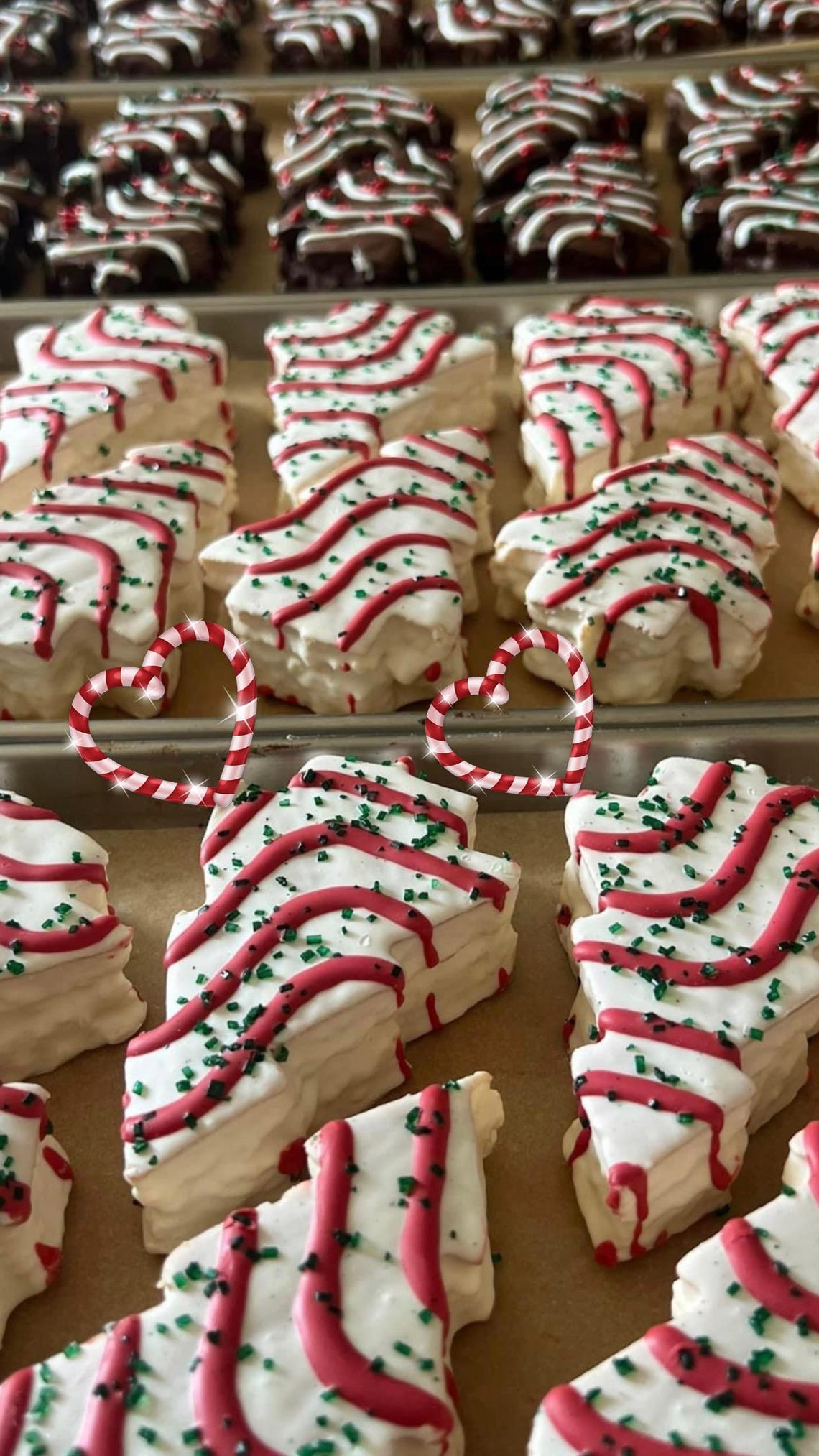 Freeze Dried Christmas Cakes - Etsy