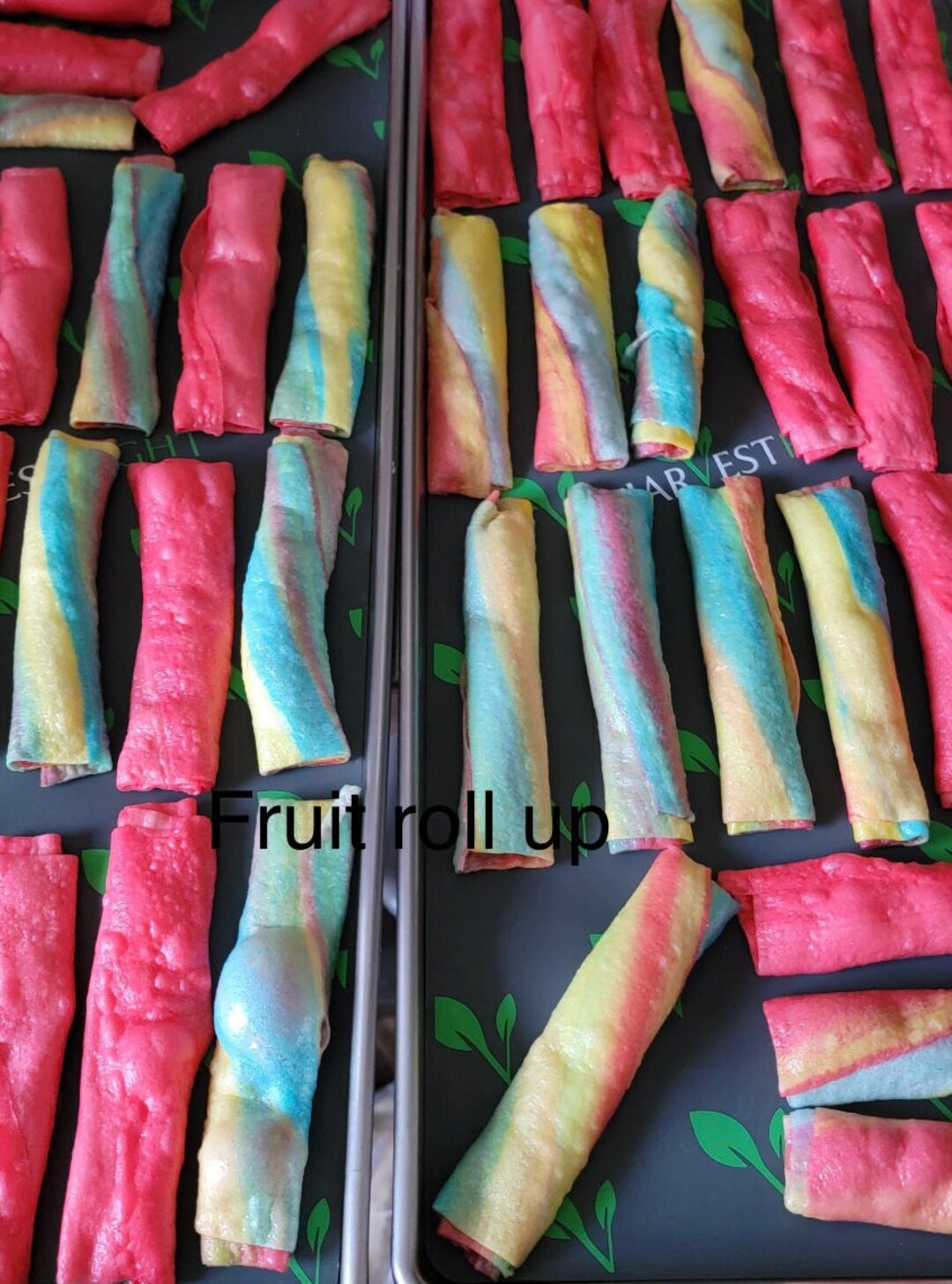 Freeze Dried Fruit Roll Up - Etsy