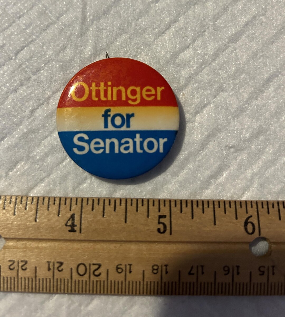 Ottinger for Senator Campaign Button - Etsy