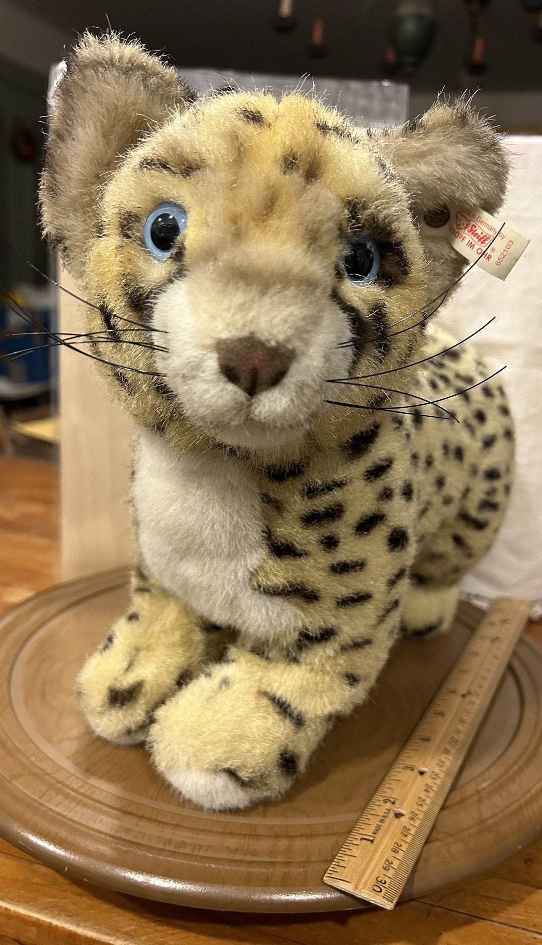 Steiff Limited Edition Florida Panther Kitten - Etsy