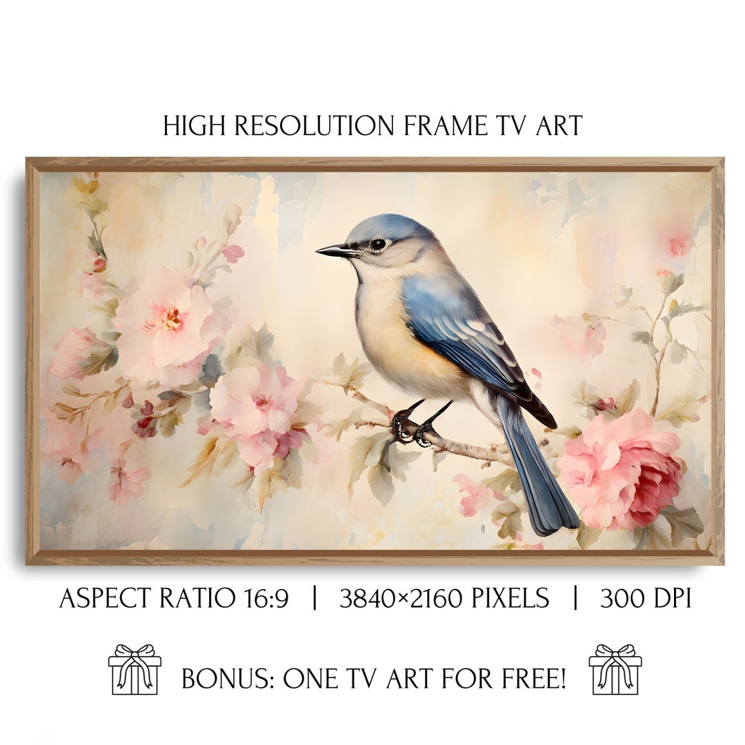 Samsung the Frame TV. Cute Bird Portrait for Your Home Decor. Bird ...