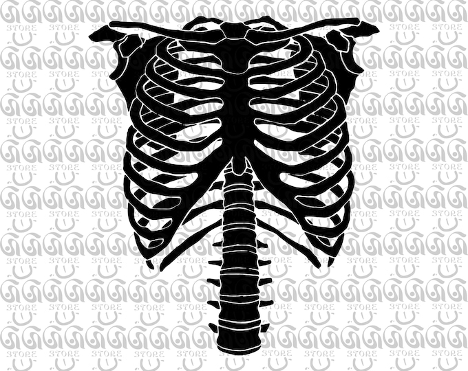 Skeleton Rib SVG, Rib Cage SVG, Skeleton Rib Cage SVG, Human Bones Svg ...