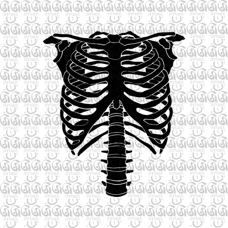Skeleton Rib SVG, Rib Cage SVG, Skeleton Rib Cage SVG, Human Bones Svg ...