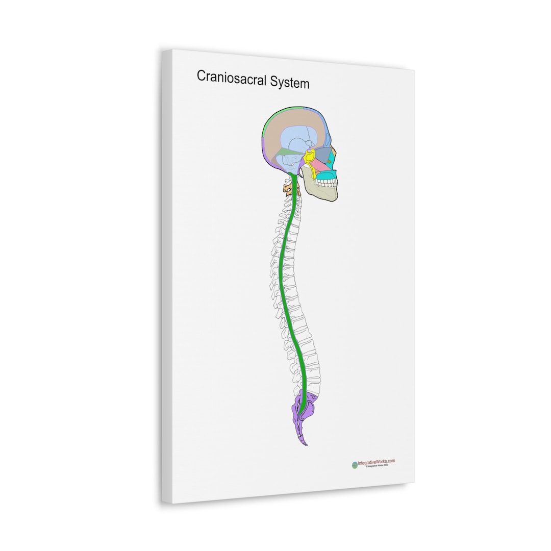 Craniosacral System - Classic View - on Canvas, Not Framed - Etsy