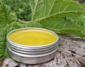 Devil's Club and Dandelion Balm / Dandelion Salve / Native American ...