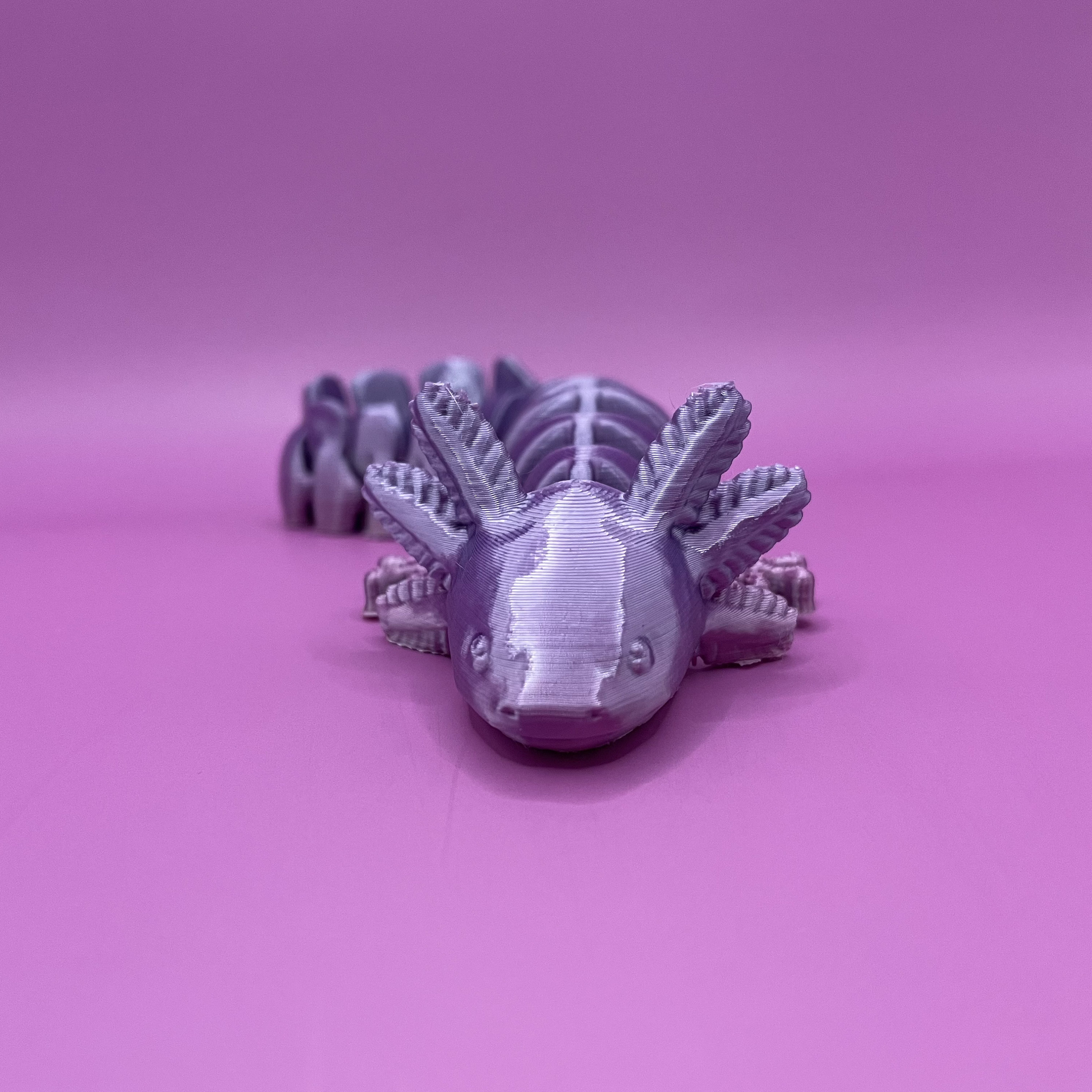 3D Printed Articulated Axolotl Fidget Toy - Etsy