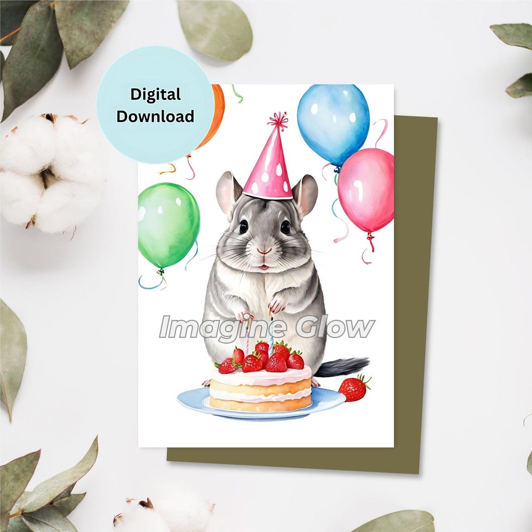 Chinchilla Birthday Card Happy Birthday Card Party Greeting Card ...