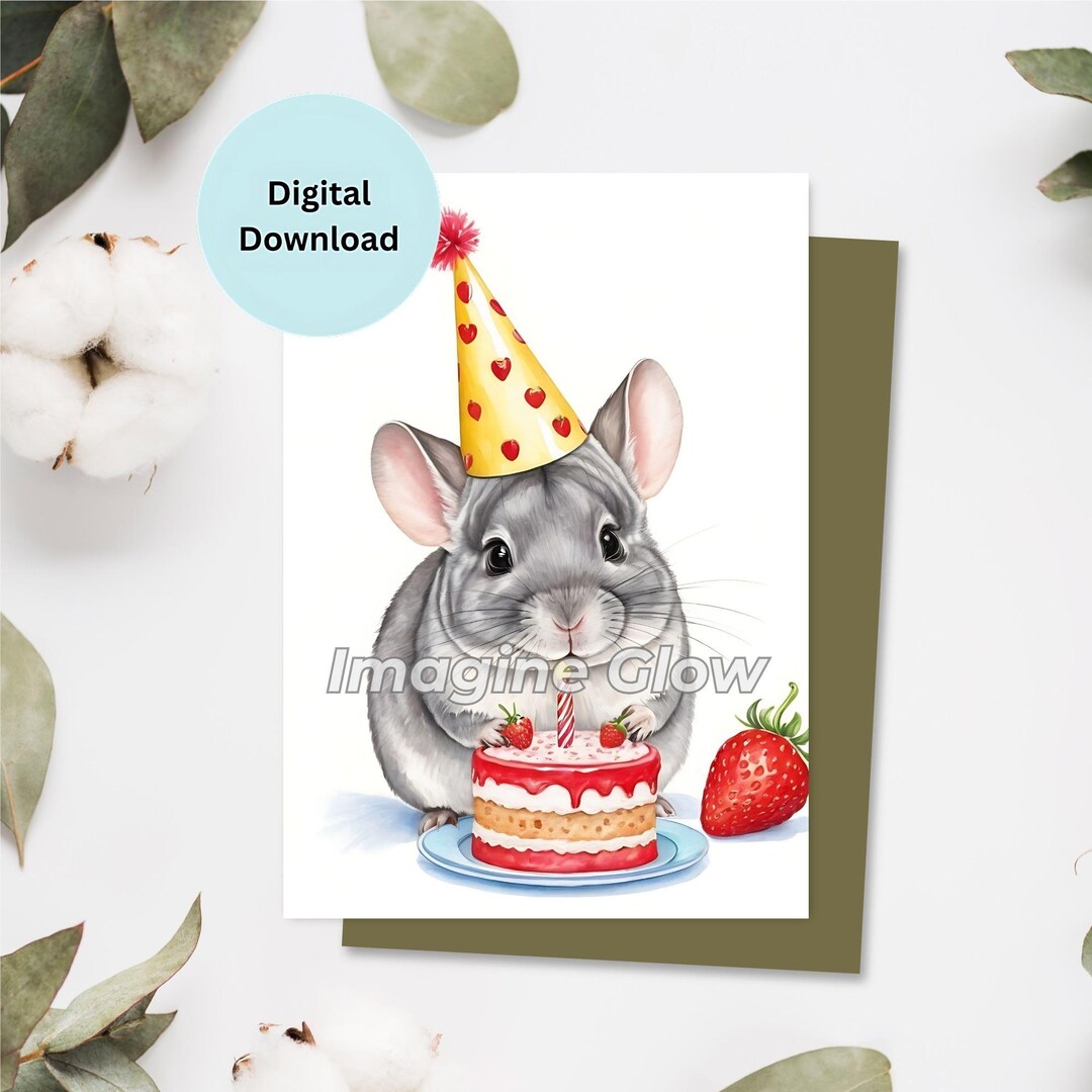 Chinchilla Birthday Card Happy Birthday Card Party Greeting Card ...