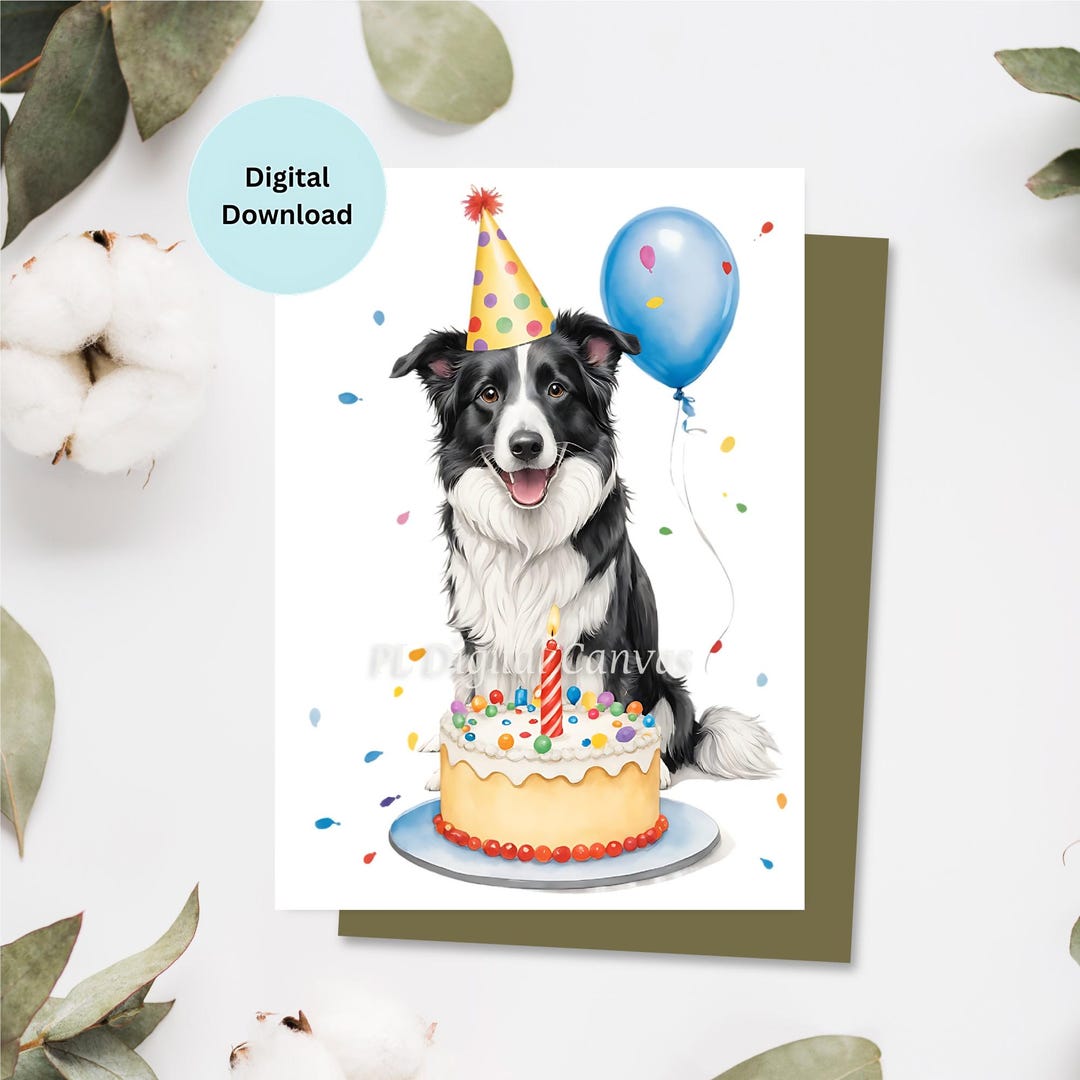 Border Collie Birthday Card: Party Dog Printable (digital Download) - Etsy