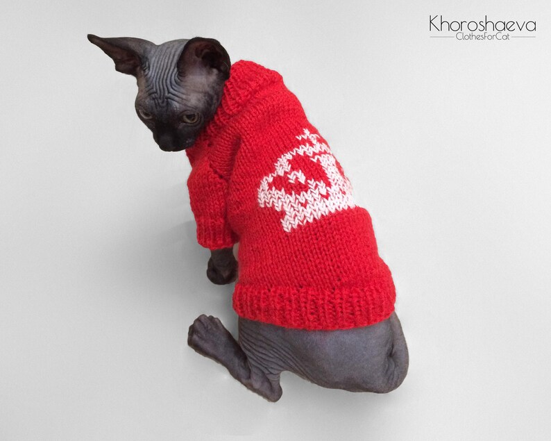 Kitten Sweater Princess With Crown Size XS Knittig Pattern PDF by Irina ...