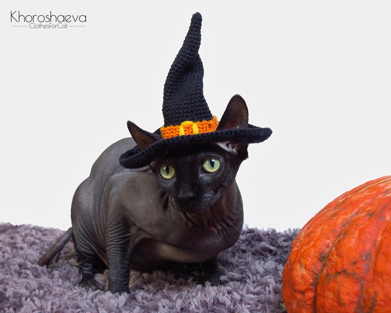 Halloween Witch Hat for Cat Crochet Pattern PDF - Etsy
