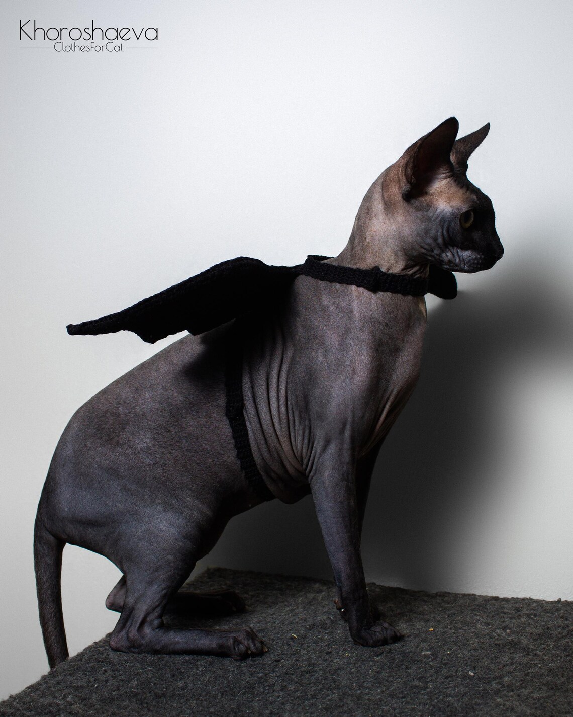 Bat Wings for Cat Crochet Pattern PDF by Irina Khoroshaeva - Etsy