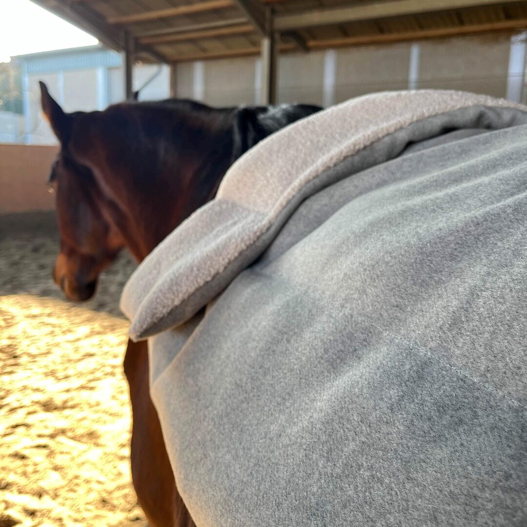 Extra Warm Spelt Husk Pillow, Made From Wool Blend and Teddy Fur, Back ...