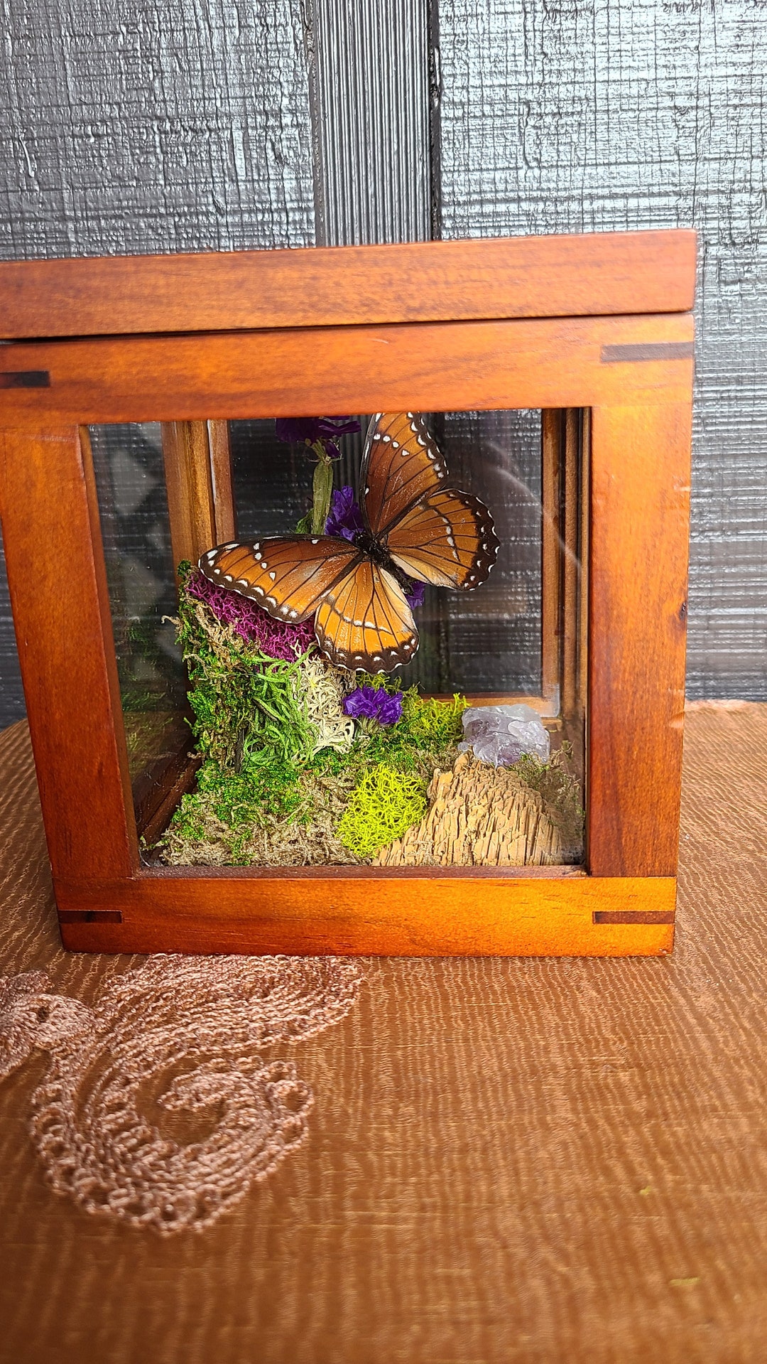 Real Monarch Mimic Butterfly in Wood/glass Box - Etsy