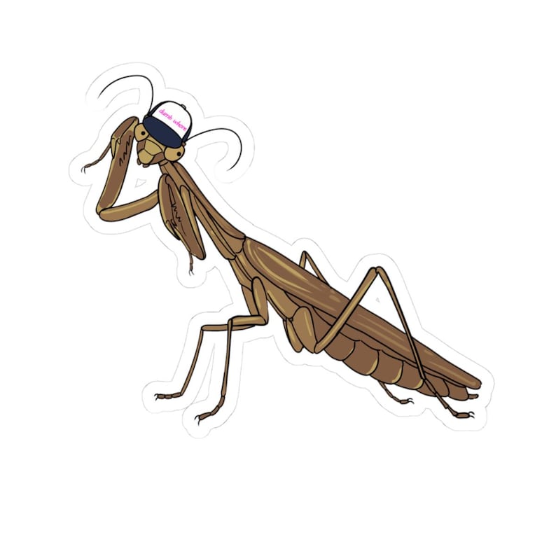 Funny Praying Mantis Stickers, Cute Insect Decor, Laptop Accessories ...