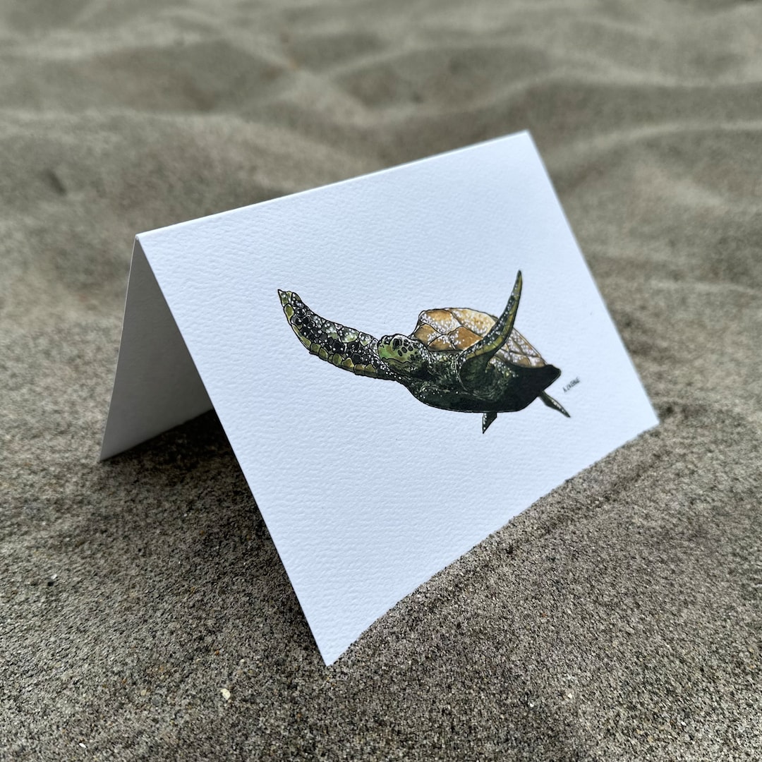 Sea Turtle Watercolor Card Set (5 Pack) - Etsy