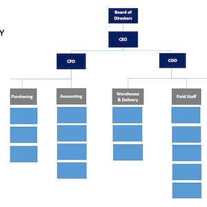 One Page Strategic Plan, Org Chart and SWOT Analysis, Organization ...