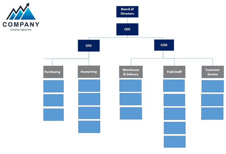 One Page Strategic Plan, Org Chart and SWOT Analysis, Organization ...