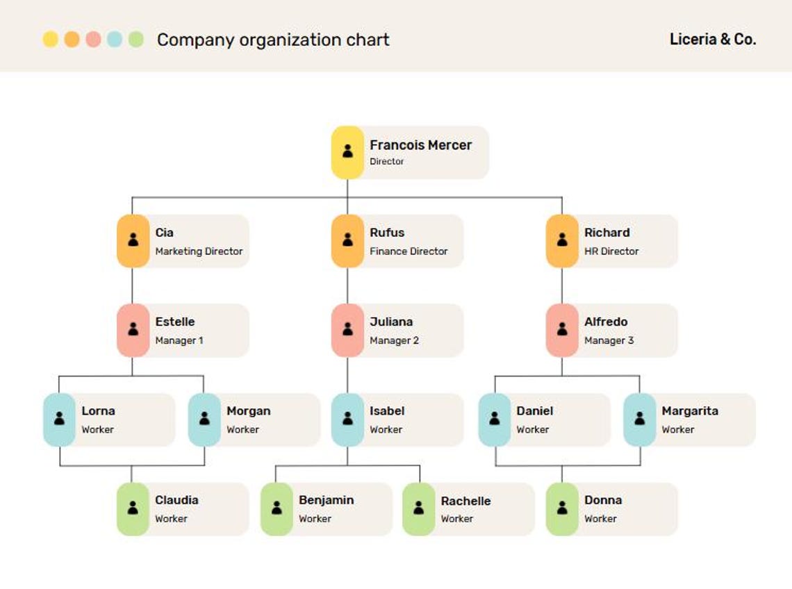 Company Org Chart, Organizational Chart, Business Plan, Business ...