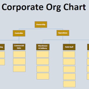 Company Org Chart, Organizational Chart, Business Plan, Business ...