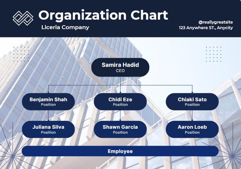 Company Org Chart, Organizational Chart, Business Plan, Business ...