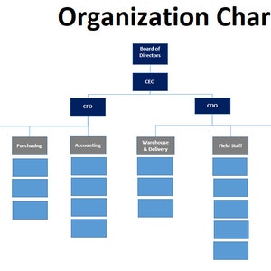 Org Chart, Organizational Chart, Business Plan, Business Strategy ...