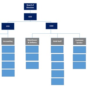 One Page Strategic Plan, Org Chart and SWOT Analysis, Organization ...