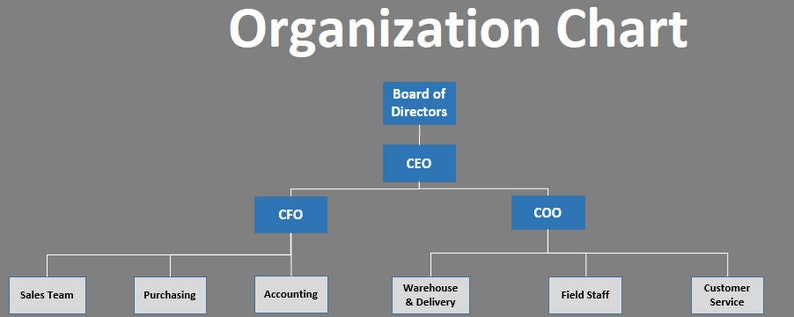 Employee Hierarchy, Company Organization Chart, Business Plan, Business ...