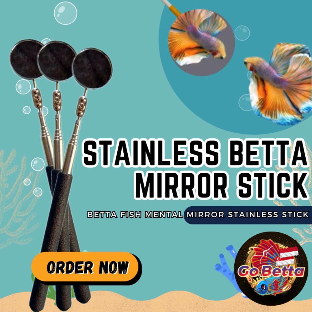 SG Seller Betta Mirror Stick Betta Fish Stick Stainless Steel Cermin ...