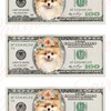 Corgi Dog Prop Money, Place Holder Cash, Three 100 Dollar Bill ...