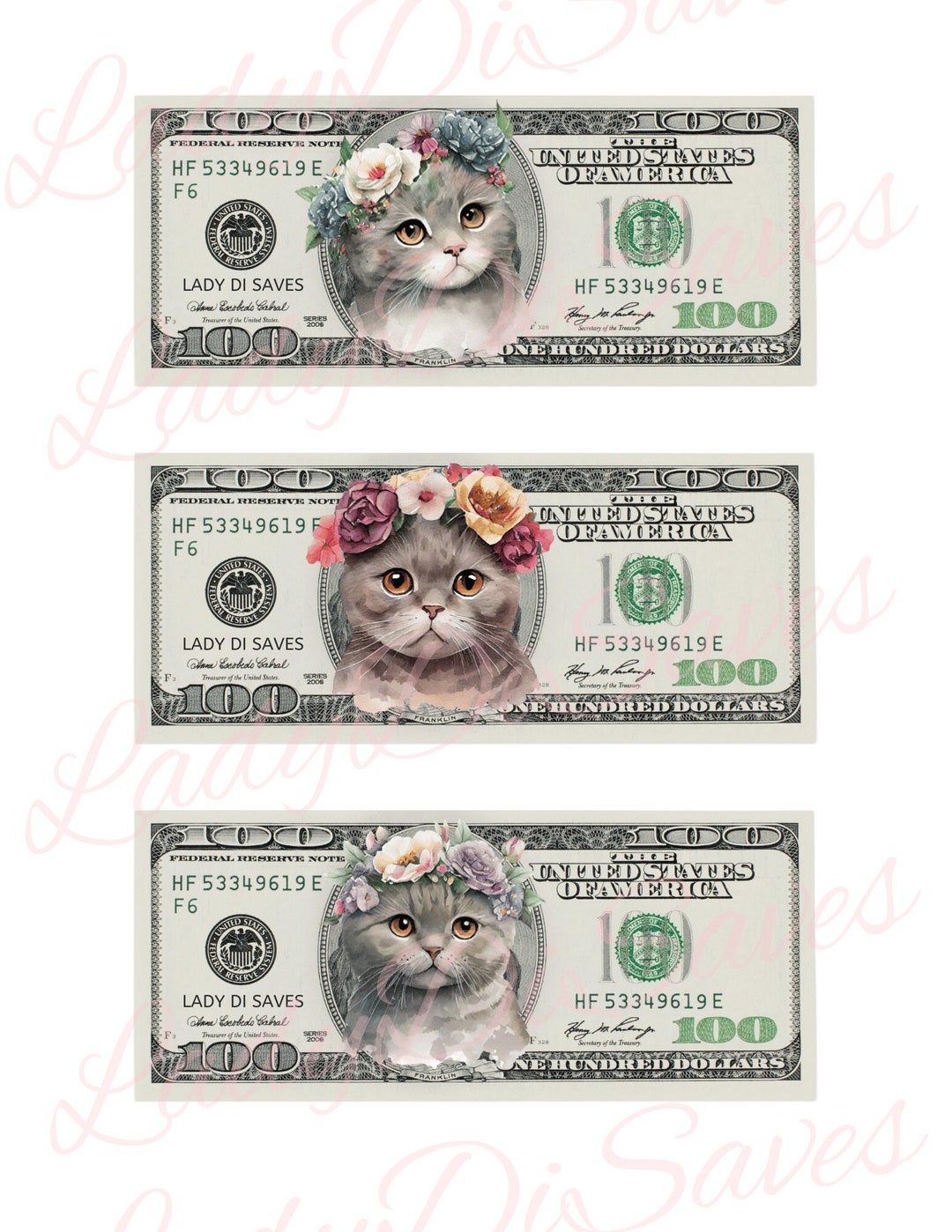 Floral Cat Prop Money, Place Holder Cash, Three 100 Dollar Bill ...