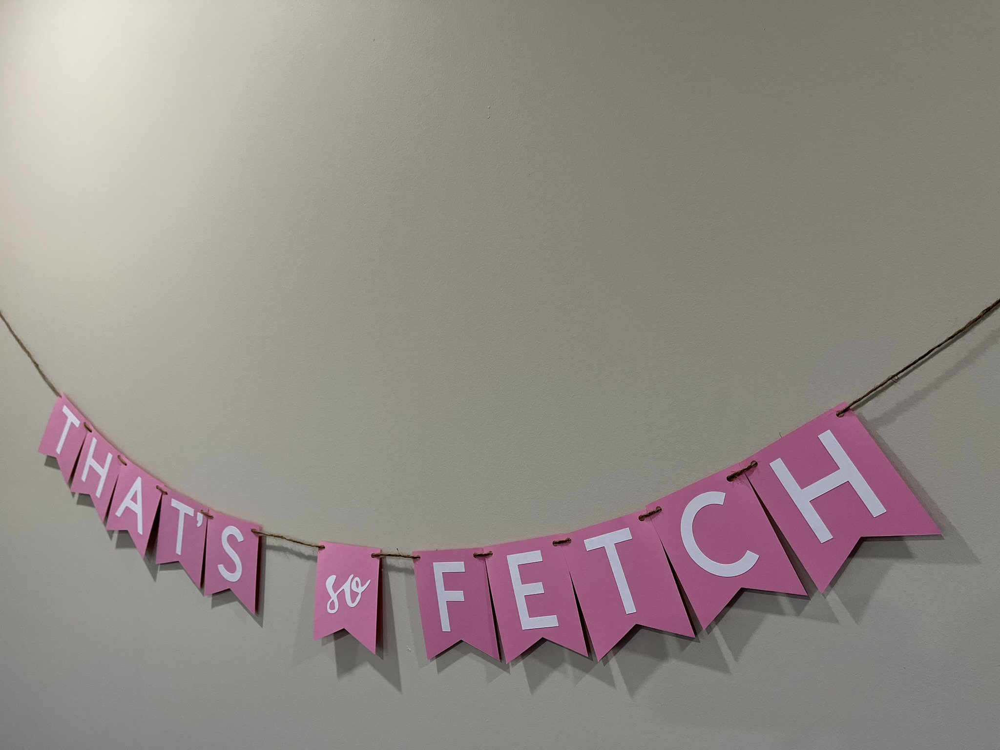 Mean Girls Themed Party Banner - Etsy