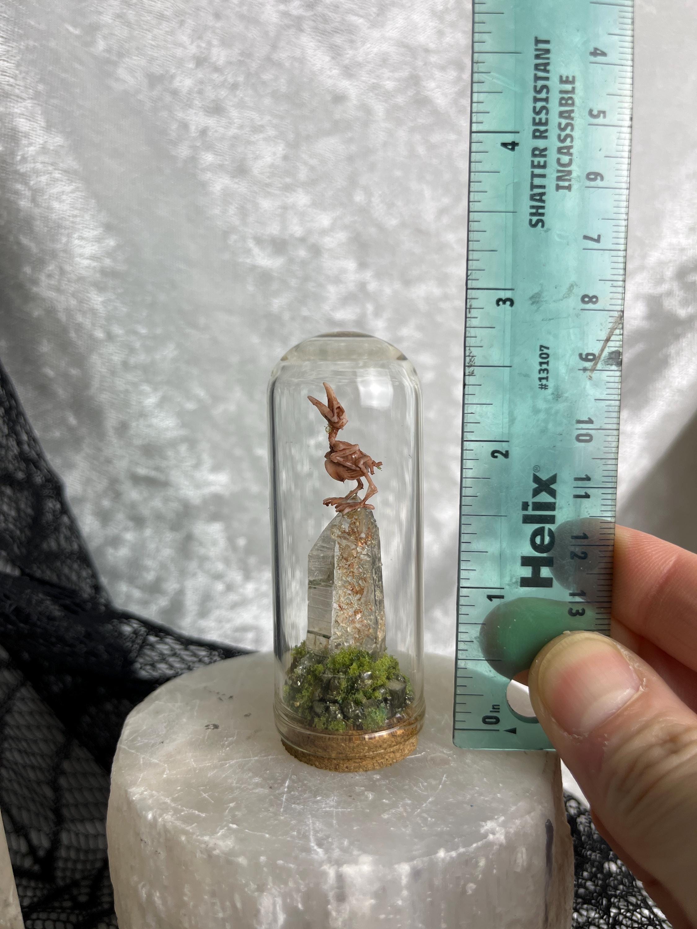 Halloween Miniature Raven Skeleton: Quartz Crystal Dome Display - Etsy