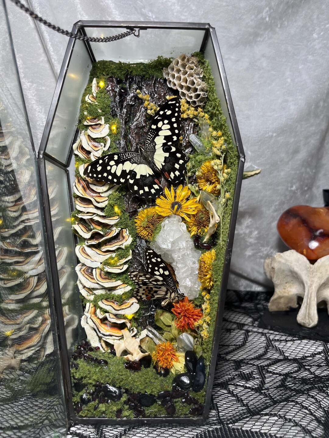 Glass Coffin With Real Butterflies, Clay Reishi Mushrooms, Real Flowers ...