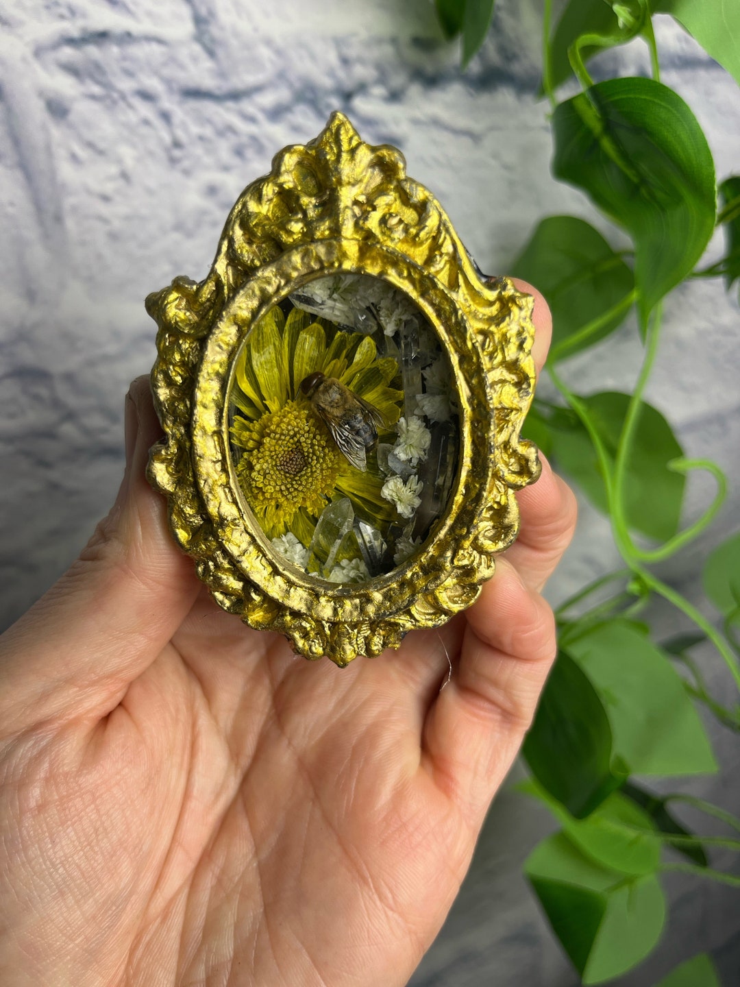 Real Taxidermy Honey Bee in Tiny Gold Ornate Frame Shadowbox Display ...