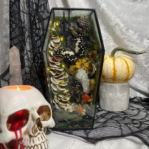 Glass Coffin With Real Butterflies, Clay Reishi Mushrooms, Real Flowers ...