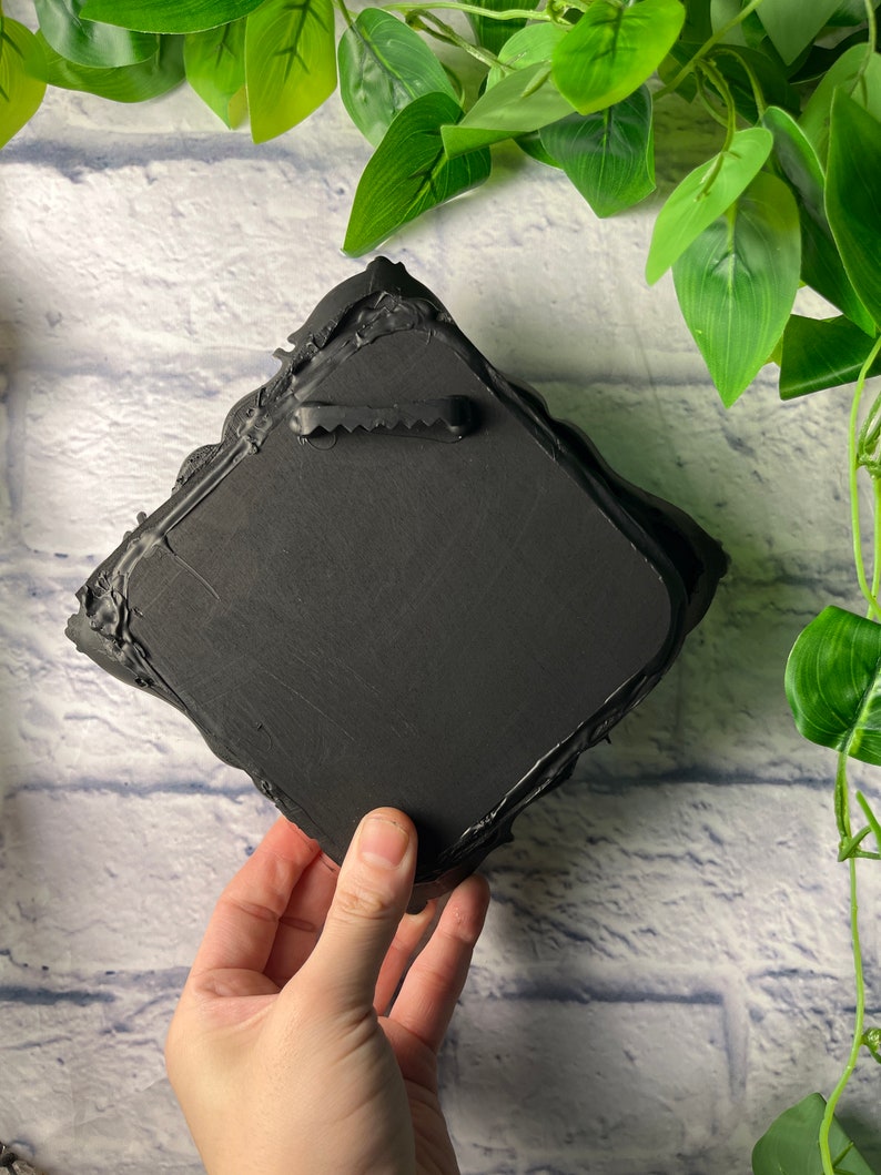 Real Taxidermy Four O'clock Moth dysphania Numana, Ornate Black and ...