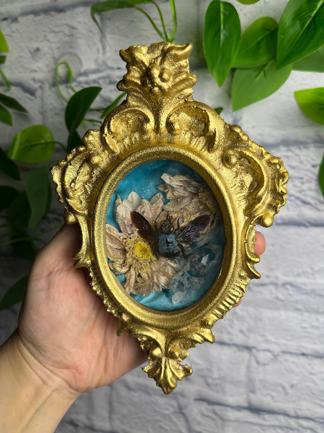 Blue Carpenter Bee in Ornate Victorian Shadowbox - Etsy